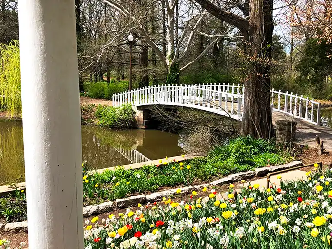 1. you haven’t lived until you’ve explored this stunning arboretum hiding in kansas