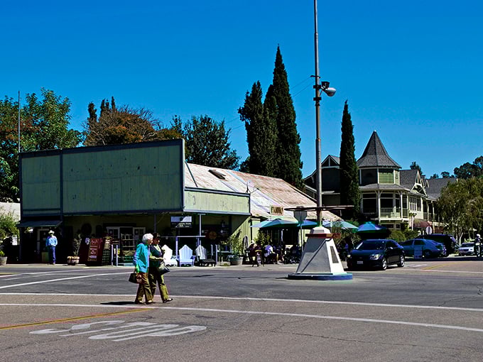 Downtown Los Olivos looks like a film set where small-town America and wine country had a beautiful baby. Those Victorian-era buildings aren't messing around with charm.