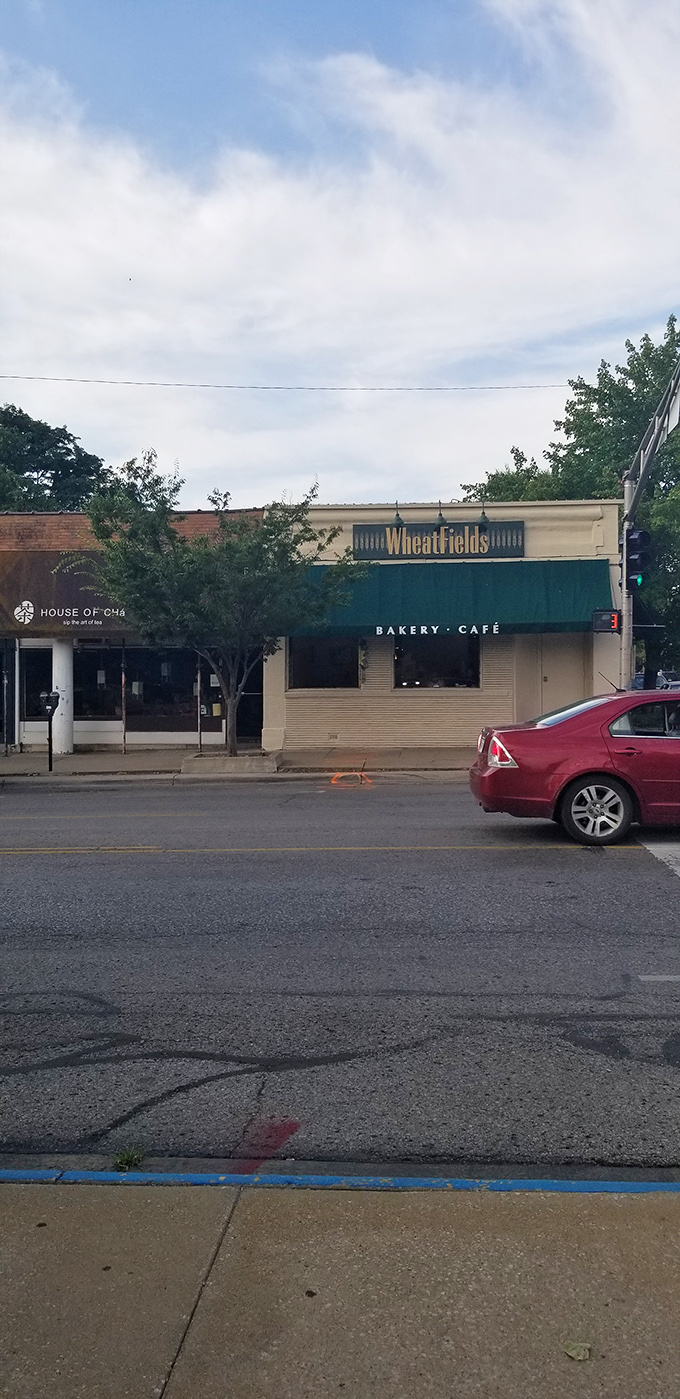 The modest storefront of Wheatfields belies the culinary magic happening inside. Lawrence's best-kept bread secret hides in plain sight.