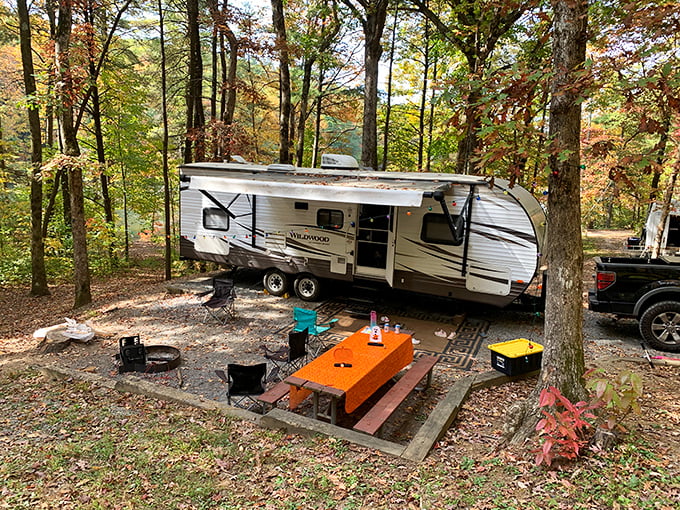 Camping spots nestled among autumn trees offer just enough wilderness to feel adventurous but enough convenience to avoid recreating "Survivor: Georgia Edition."