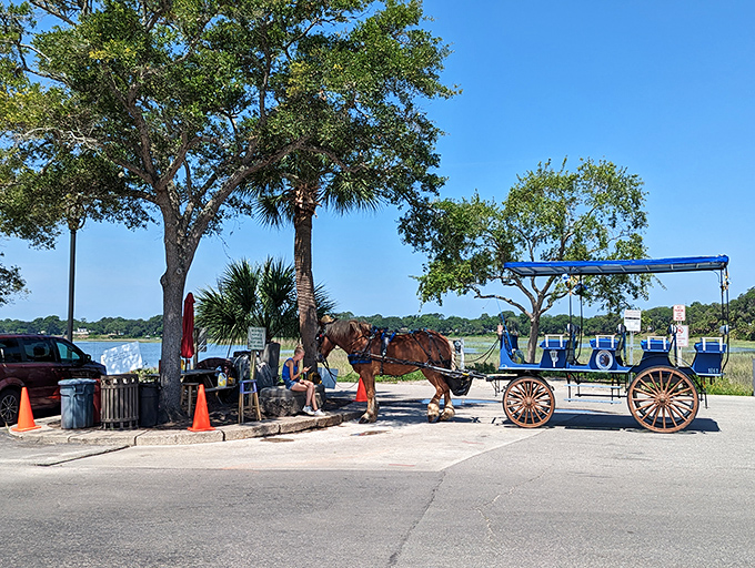 Horse-drawn carriages aren't just transportation – they're time machines that clip-clop you back to a more genteel era.