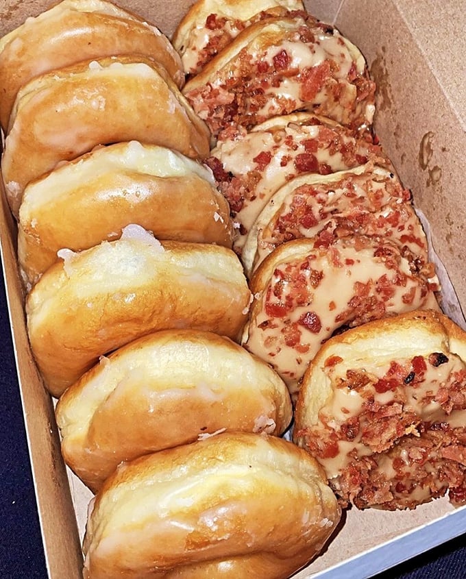 The holy donut alliance: classic glazed sitting beside maple bacon beauties—proof that both tradition and innovation deserve equal billing in the pantheon of breakfast perfection.