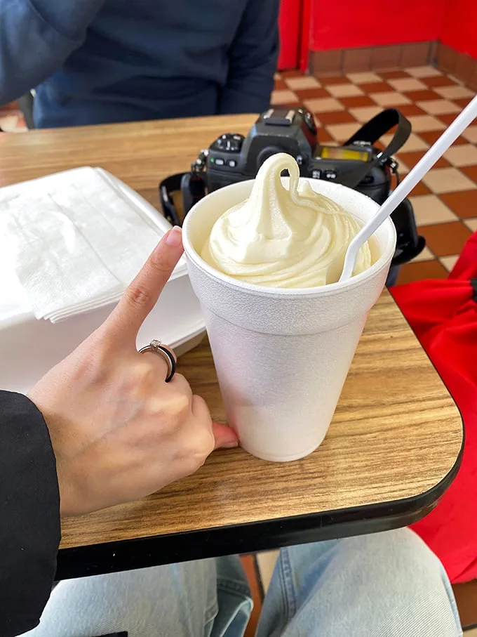 A vanilla soft serve swirl so perfect it belongs in the Art Institute, though it'll disappear far faster than any painting.