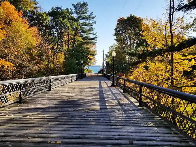The Iron Bridge Trail creates a golden pathway through fall foliage, leading to that little slice of Superior blue that keeps calling you back.