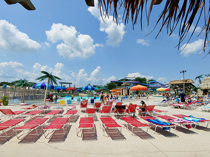 The perfect summer basecamp – rows of loungers await weary water warriors needing a moment to recharge before the next aquatic adventure.