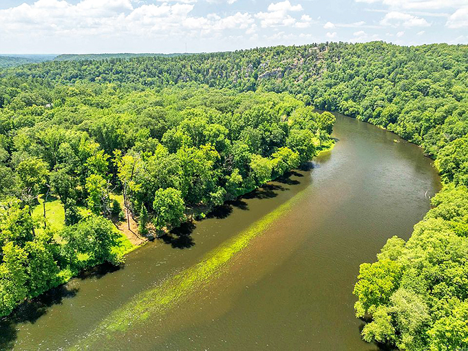 The Ouachita River curves through the landscape like nature's calligraphy, writing stories in water that the surrounding forests have been reading for centuries.