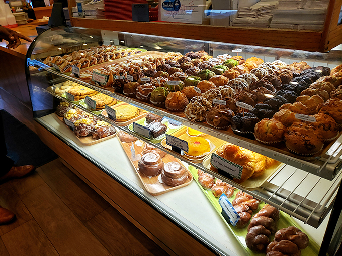 The display case that launched a thousand cheat days. Each shelf tells a different sweet story with the same happy ending.