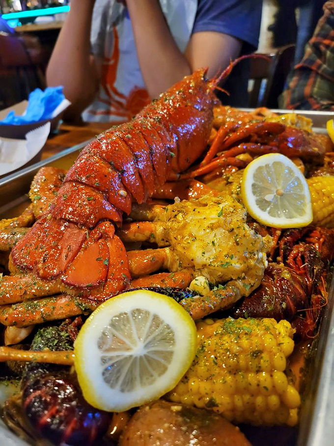 10. lobsterr