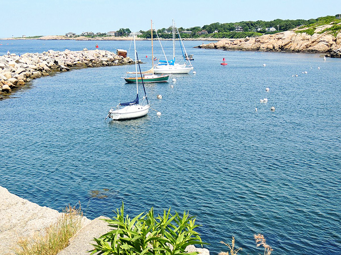 Oceanfront homes in Rockport aren't just houses—they're front-row tickets to nature's greatest show, performed daily at no extra charge.