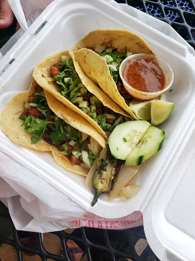Three tacos standing at attention like delicious sentinels guarding the gateway to flavor town, complete with grilled jalapeño sidekick.