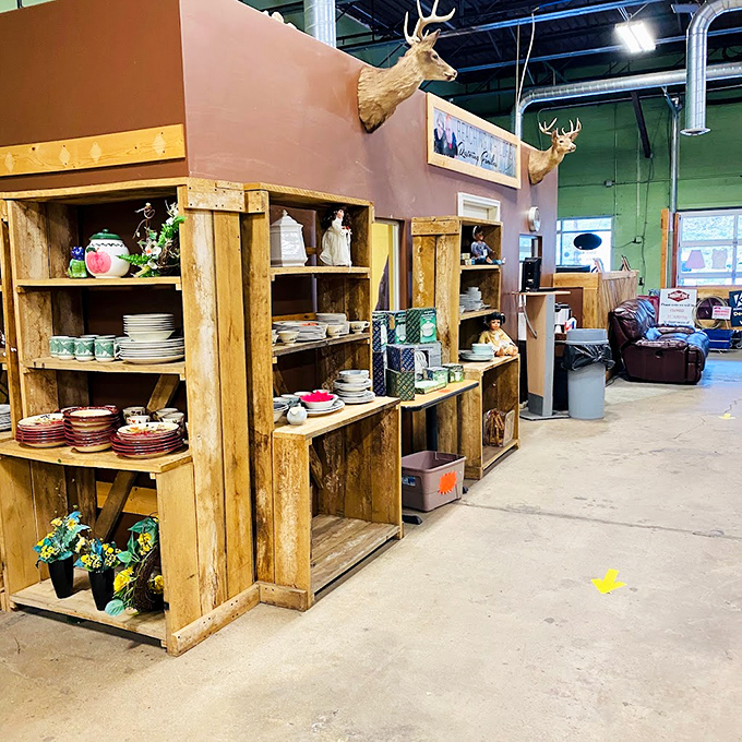 Mounted deer watch over dishware displays with rustic charm. Even the taxidermy is getting in on the bargain-hunting action.