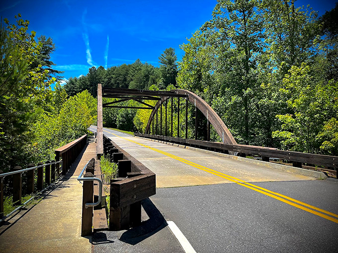 Crossing this sun-drenched bridge feels like driving straight into a Bob Ross painting—happy little trees included.