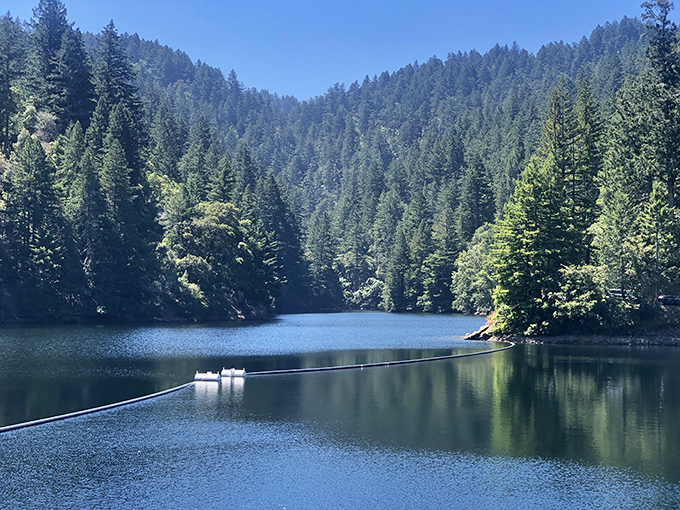 Another alpine lake nestled among towering pines—nature's infinity pool with better views than any five-star resort could engineer.