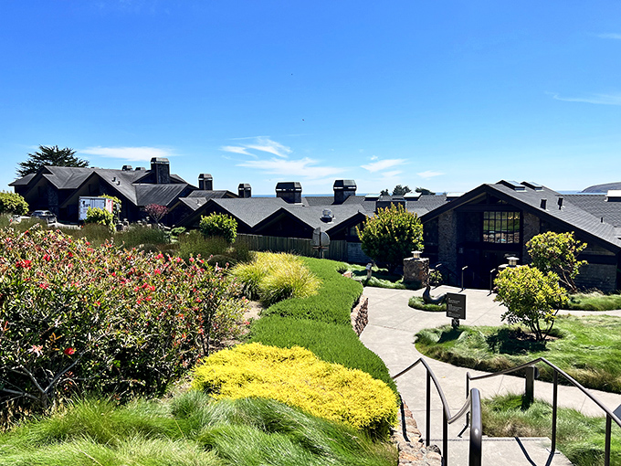 The Lodge at Bodega Bay nestles into the landscape like it grew there naturally—architecture that knows its job is to frame the view, not compete with it.