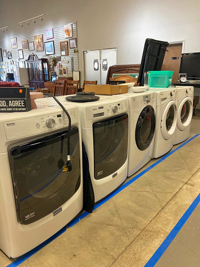 The washing machine lineup looks like a major appliance store display, not thrift finds. Clean clothes without cleaning out your savings account.