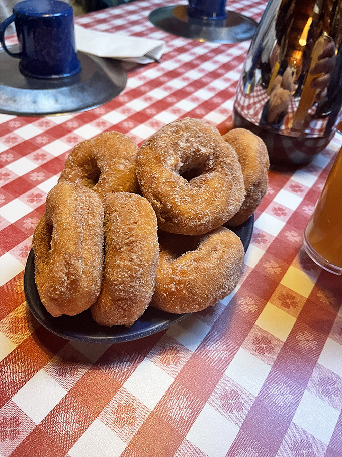 These donuts aren't just fried dough—they're little rings of joy dusted with cinnamon-sugar memories. One bite and you're hooked for life.