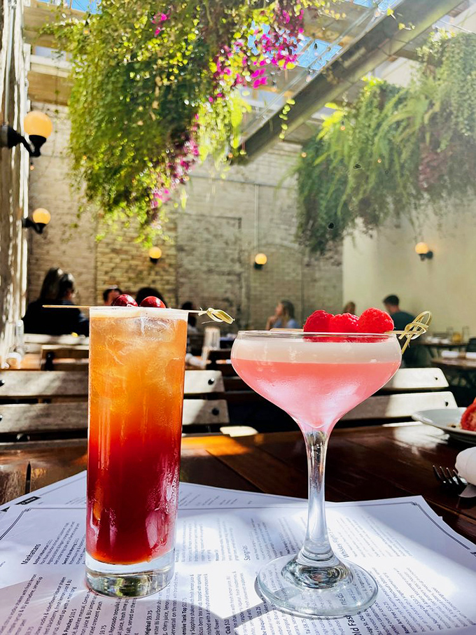 Cocktails that double as art installations. One sunset-inspired, one blush-pink confession—both promising stories you'll retell tomorrow.