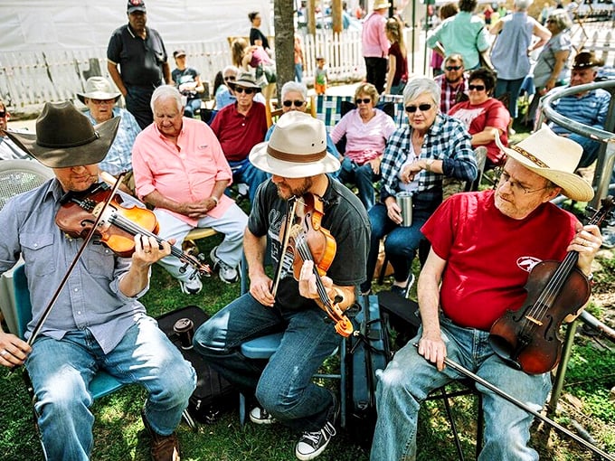 When musicians gather in Mountain View, magic happens—these aren't performances, they're conversations in a language older than words.