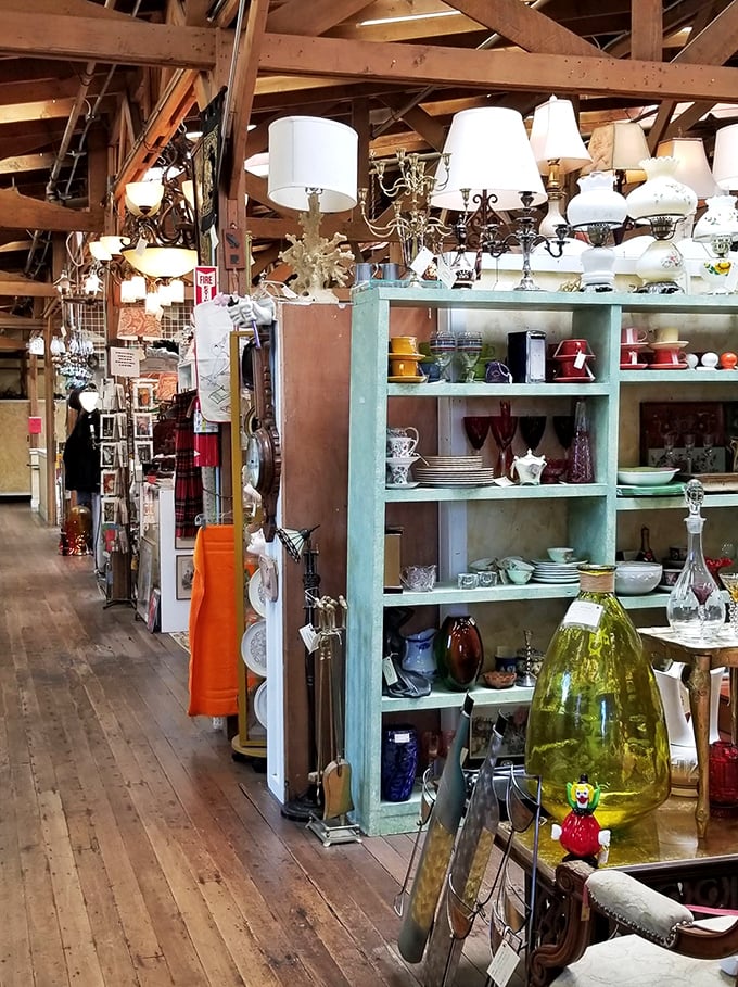 Chandeliers and dishware coexist in organized chaos—proof that lighting fixtures and dinner plates can live harmoniously when curated with vintage vision.