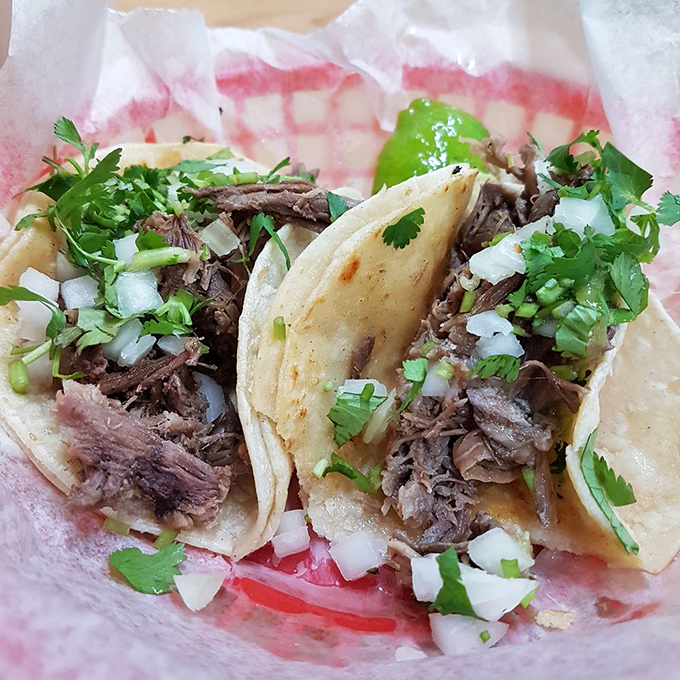 These barbacoa tacos aren't just food—they're time travel to a Mexican grandmother's Sunday kitchen. The cilantro sprinkle is pure poetry.