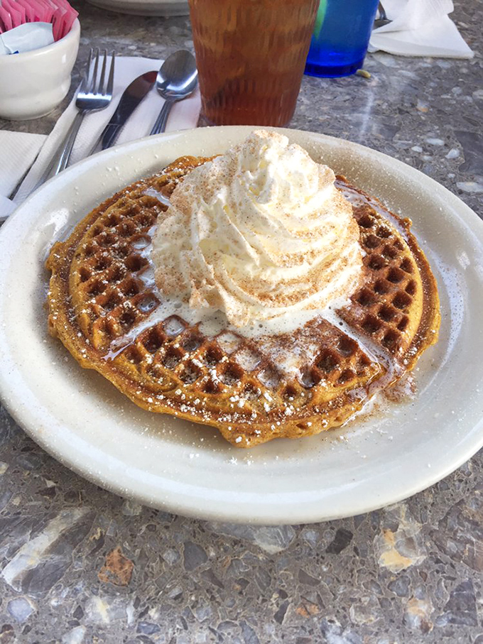 A waffle that understood the fall assignment. That whipped cream swirl isn't just decoration—it's structural engineering at its finest.