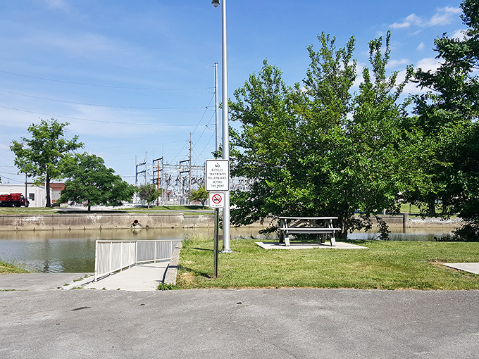 Belcher Park offers a quiet spot by the water, where a simple bench invites you to sit and watch reflections ripple across the surface.