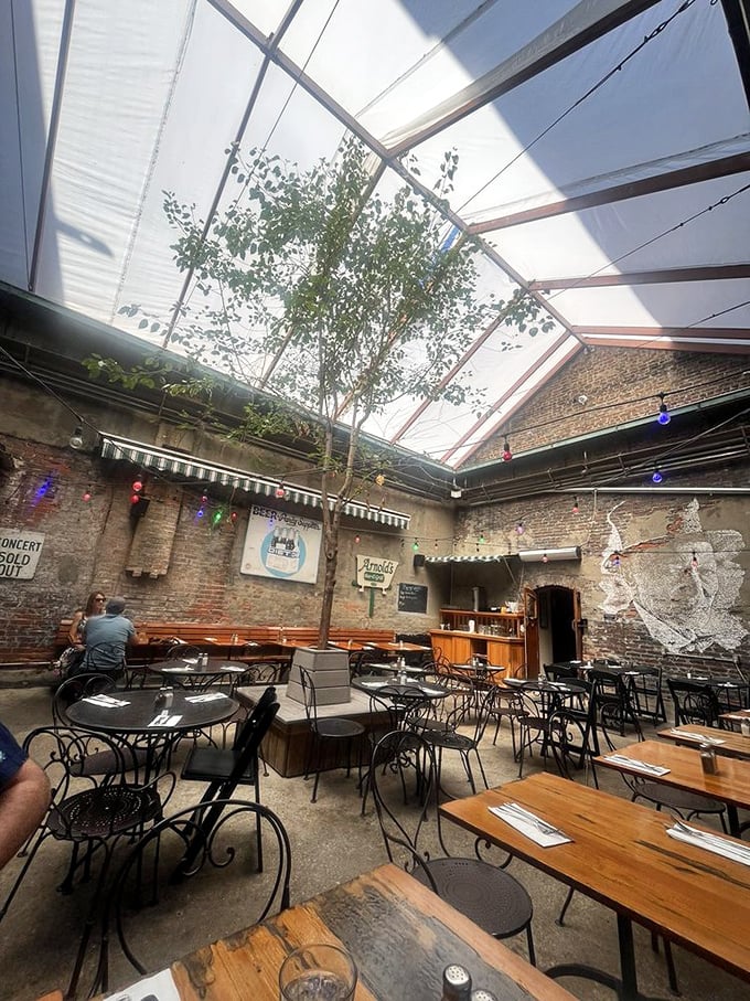 The courtyard feels like someone's secret garden that happens to serve excellent food—complete with a tree growing right through the roof.