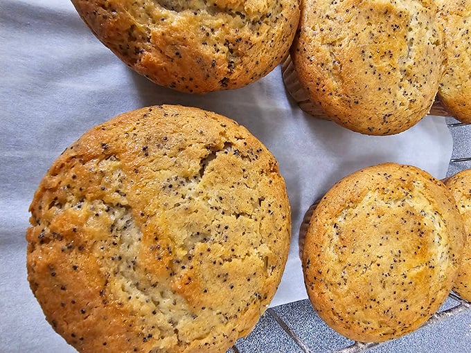 Lemon poppy seed muffins with the perfect crumb structure. These aren't just muffins – they're breakfast architecture at its finest.