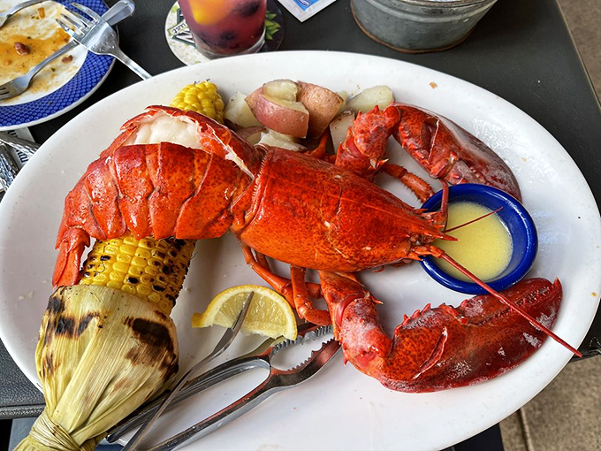 When a whole lobster arrives at your table, it's not just dinner – it's an event. Complete with corn and the tools for your delicious treasure hunt.