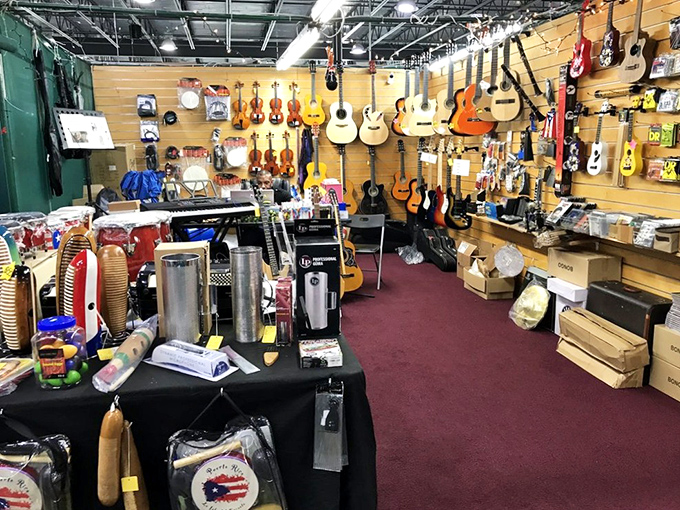 The guitar gallery—where musical dreams hang in suspended animation, waiting for the right hands to bring them to life.