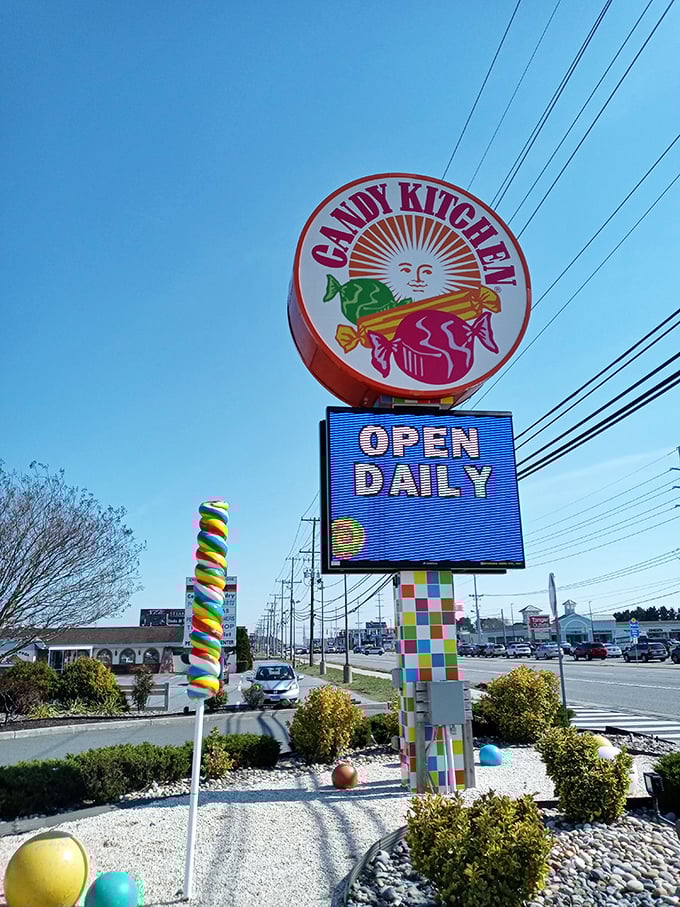 The iconic Candy Kitchen sign shines like a lighthouse for sweet-seekers, guiding sugar pilgrims safely to shore. Open daily—thank goodness.