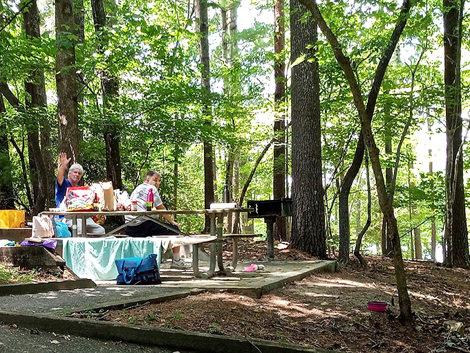 These picnickers found the ultimate lunch spot, where dappled sunlight seasons every sandwich with a touch of magic.