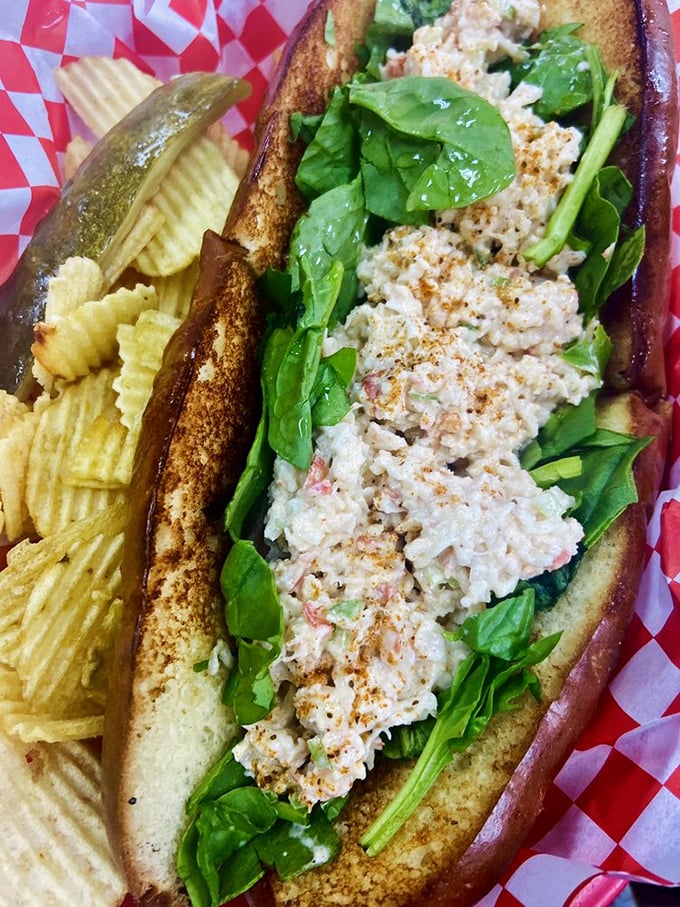 Creamy chicken salad nestled in a perfectly toasted roll—comfort food that makes you want to cancel your afternoon plans.