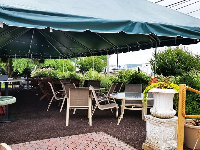 The outdoor seating area offers fresh air dining with water views—nature's television program that never disappoints and doesn't include commercial breaks.