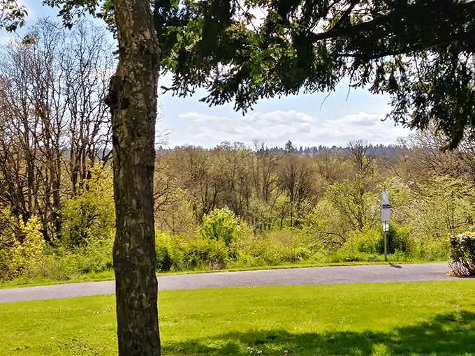 Beyond the water park, Oregon's lush landscape reminds you that you're still in the Pacific Northwest—even while wearing flip-flops in February.