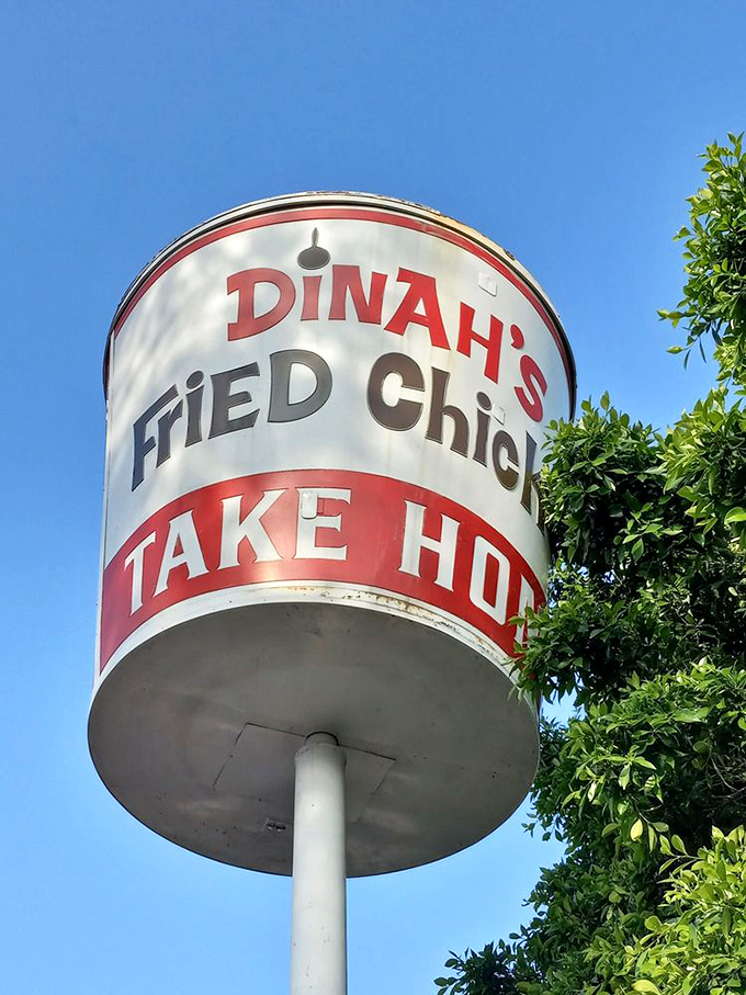 This vintage bucket sign towers above like a mid-century monument to fried chicken excellence—they literally put their specialty on a pedestal.