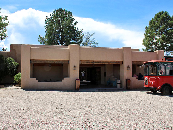 This unassuming adobe building houses treasures that tell New Mexico's story. The simplicity outside belies the cultural richness waiting within. 