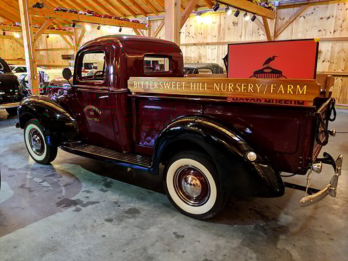 This burgundy pickup truck from Bittersweet Hill Nursery reminds us that classic vehicles weren't just for show—they were working partners in American enterprise