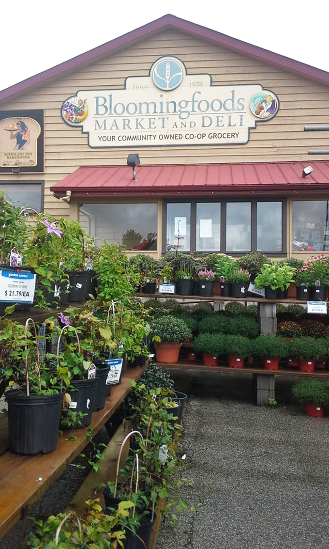 The garden section: where good intentions about starting an herb garden go to become reality—at least until next week.