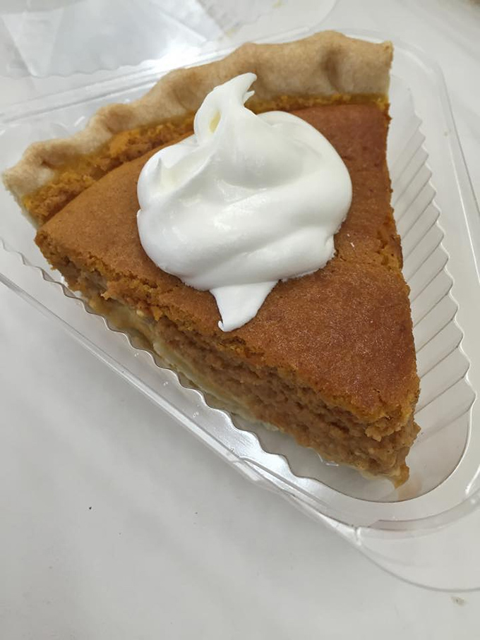 Pumpkin pie that knows exactly what it is – comfort food topped with a perfect dollop of whipped cream, no identity crisis here.