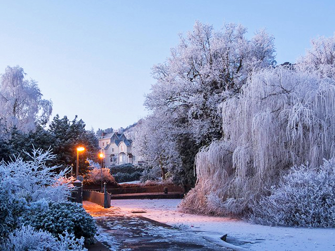 Winter transforms Malvern into a frost-kissed wonderland where even the weeping willows seem to be wearing elegant crystal gowns for a seasonal soirée.