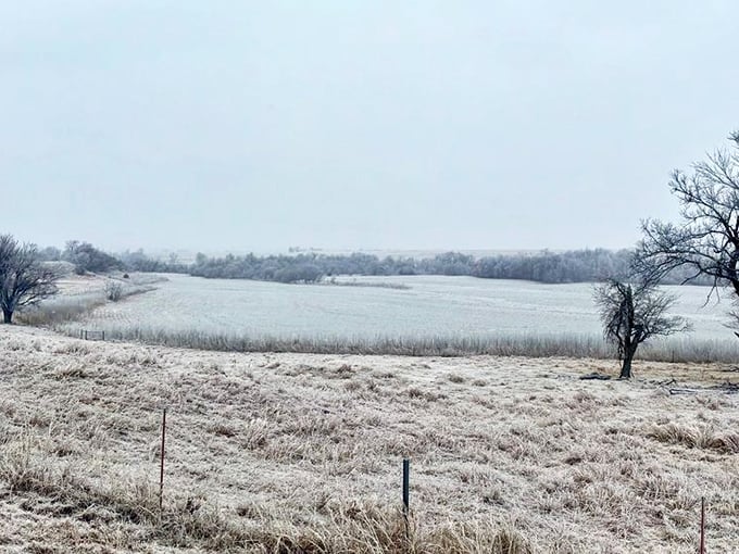 Oklahoma frost blankets the countryside around Guthrie, creating a monochromatic masterpiece that rivals any beach vacation photo.