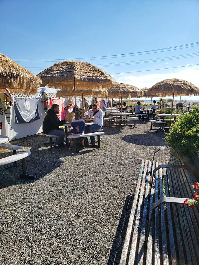 Families gather under thatched umbrellas, creating memories one seafood feast at a time—the true Connecticut summer tradition.