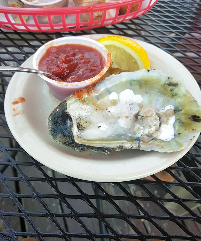 This single perfect oyster with cocktail sauce is like nature's shot glass—a briny, slurpable delicacy that tastes like the ocean's finest moment.