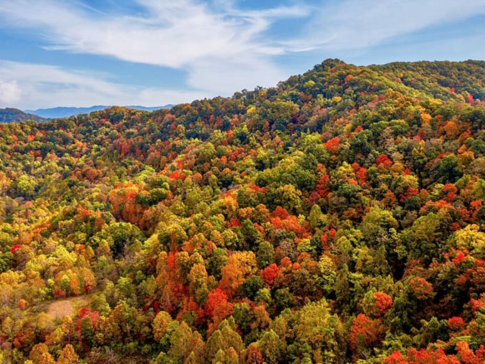 Fall foliage in Hocking Hills isn't just pretty—it's nature's fireworks display that makes leaf-peepers weak at the knees.