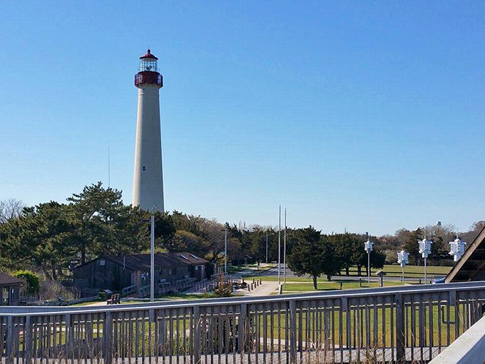 The Cape May Lighthouse stands tall – a maritime exclamation point that's guided ships, inspired painters, and tortured the calves of countless tourists.