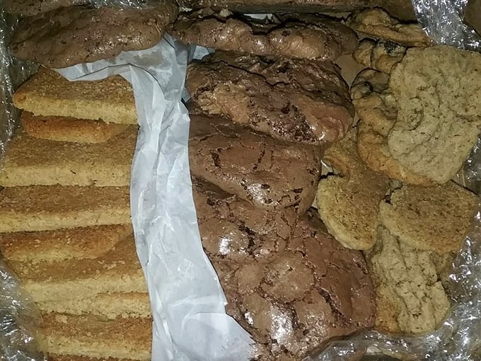 The cookie trifecta—where chocolate chip, sugar, and brownies gather for what might be the world's most delicious summit meeting.