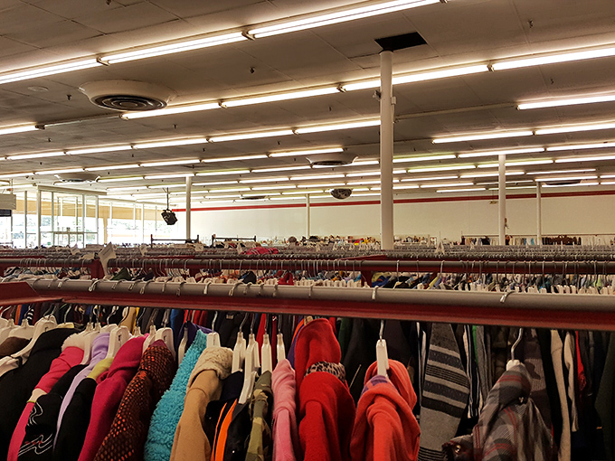 The clothing section alone could outfit a small town—organized by size so you don't need a sherpa guide.