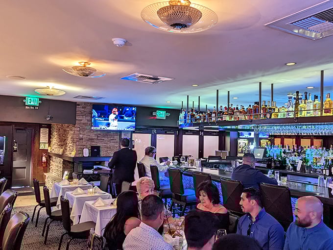 The bar area buzzes with the energy of strangers becoming friends. Where martinis meet conversation in a dance as old as hospitality itself.