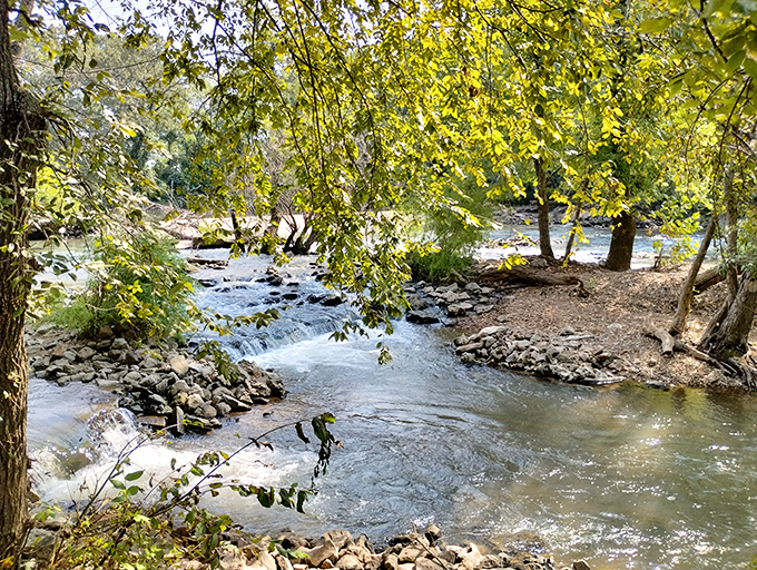 Spring River's gentle cascades create nature's soundtrack just minutes from downtown. Water therapy doesn't require an appointment or insurance.